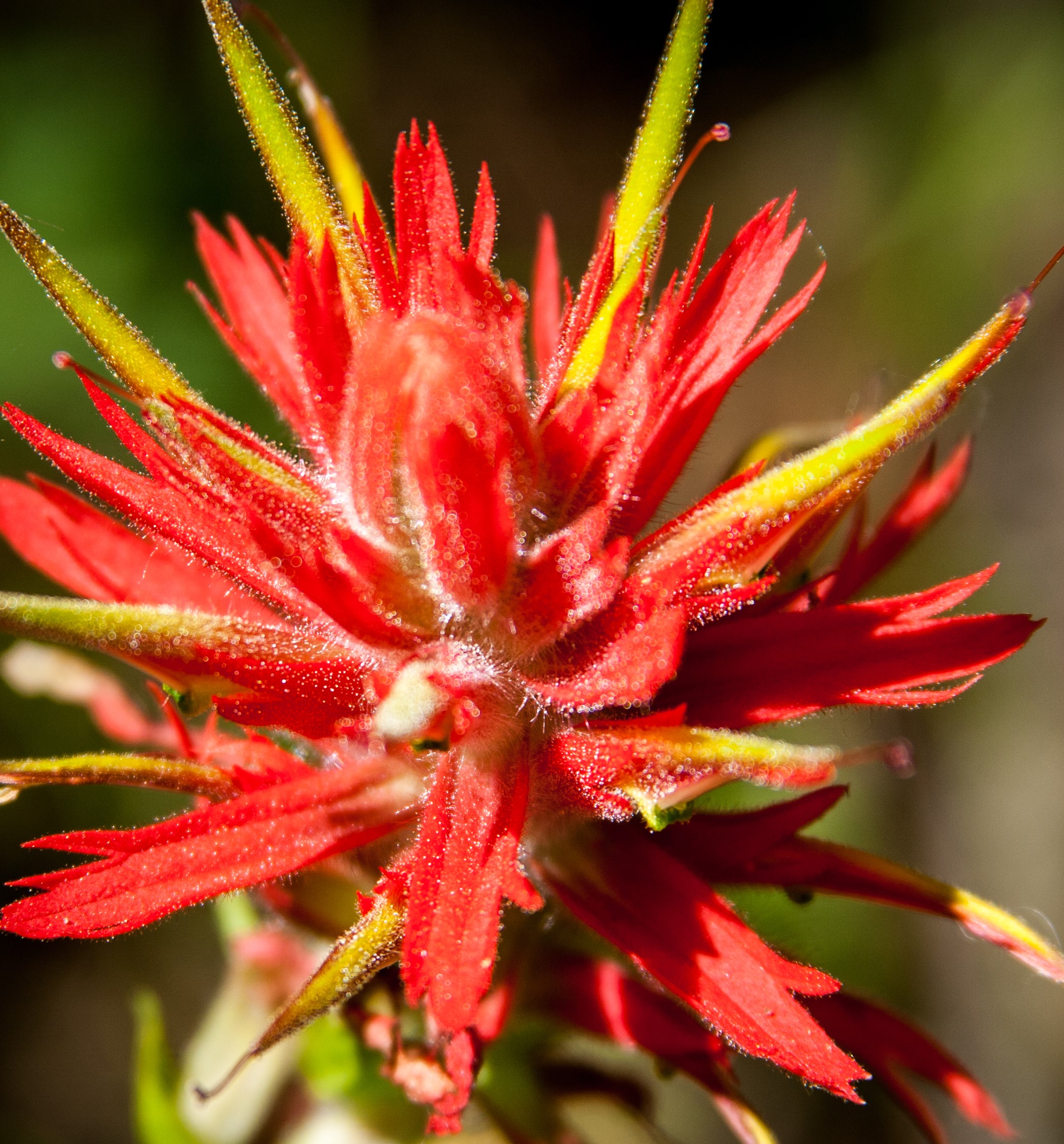 A Bible Study 2 Chronicles